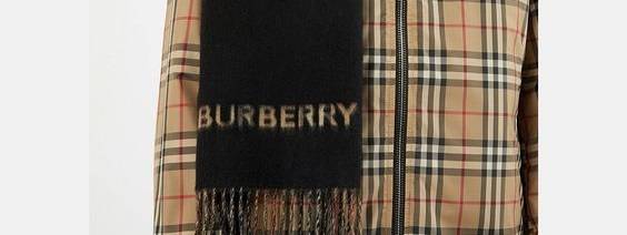Colors and Patterns: Diversity in Burberry Scarf Design - thesisluxury